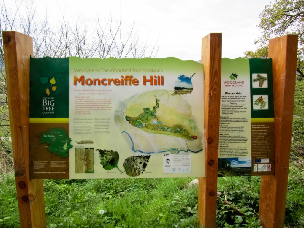 Hiking Moncreiffe Hill to Moredun Top - Traveling Savage
